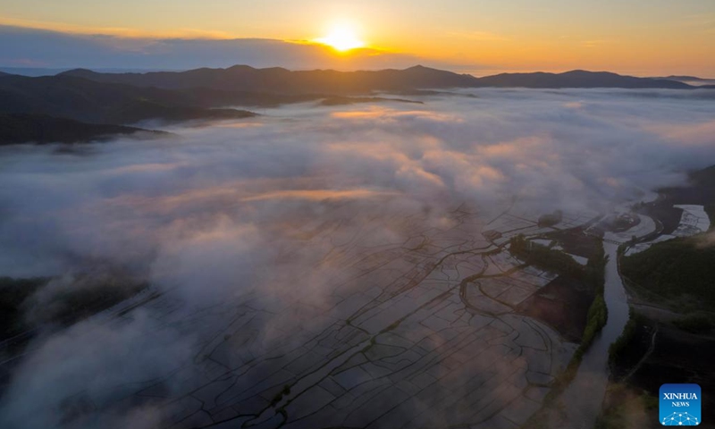 Fog over paddy fields in Hailin City, NE China's Heilongjiang - Global ...