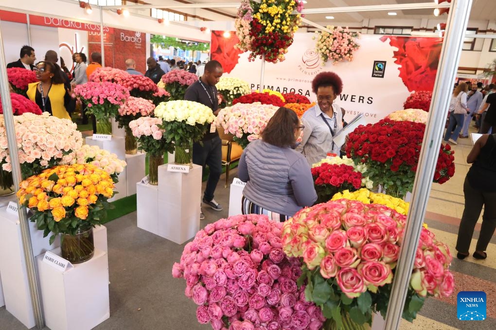 Kenya hosts int'l flower expo amid calls for sustainable production ...