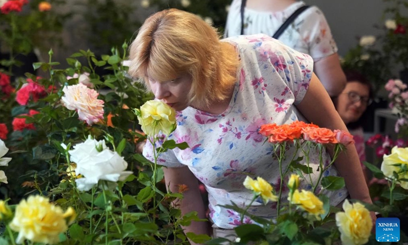 Over 100 varieties of roses on display at "Roses 2024" exhibition in ...