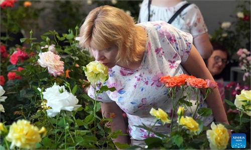 Over 100 varieties of roses on display at "Roses 2024" exhibition in ...