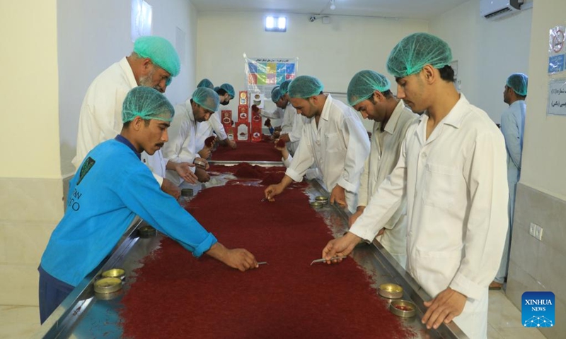 Afghanistan expects to harvest 50 tonnes of saffron this year - Global ...