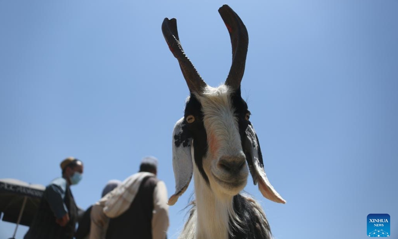 Afghans prepare to celebrate largest annual religious festival Eid al ...
