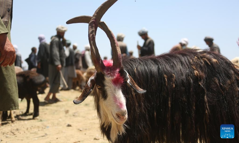 Afghans prepare to celebrate largest annual religious festival Eid al ...