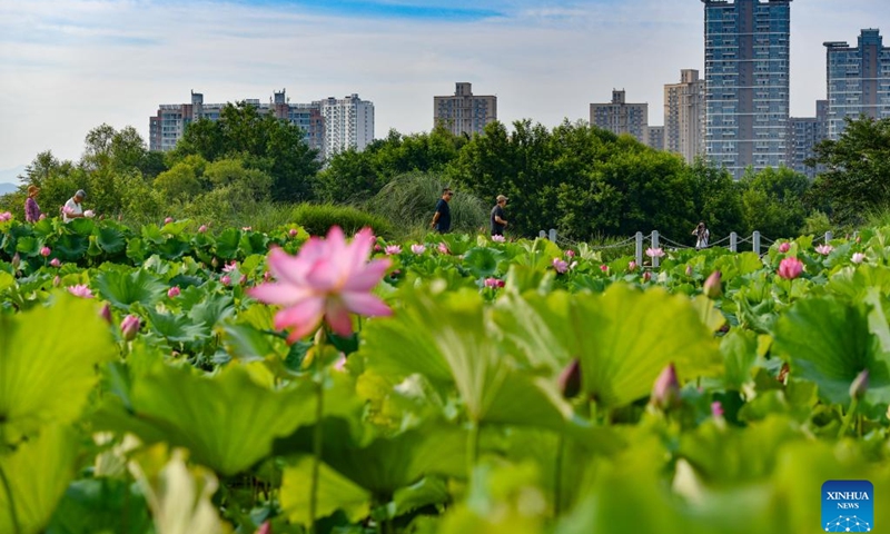 China's Hanzhong strengthens ecological protection of Hanjiang River's ...