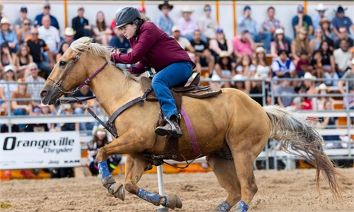 In pics: 2024 RAM Rodeo Tour in Ontario, Canada - Global Times