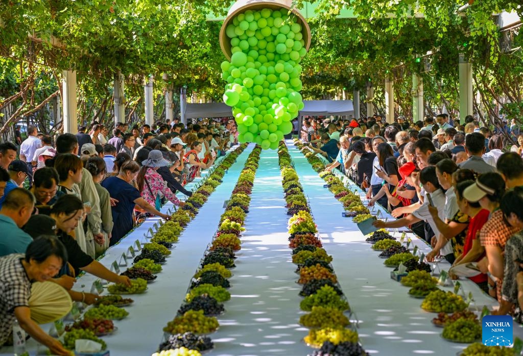 Turpan grape festival kicks off in Xinjiang - Global Times