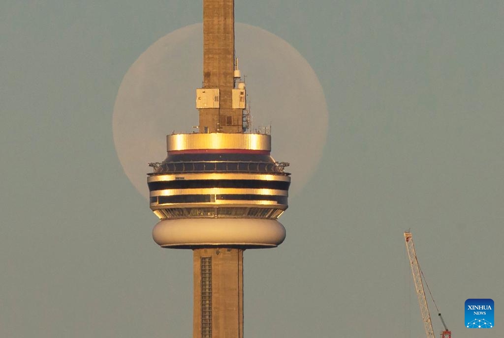 Full moon seen in Toronto, Canada - Global Times