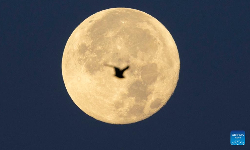 Full moon seen in Toronto, Canada - Global Times