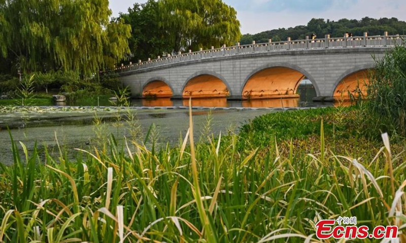Golden sunlight shines through bridge arches in Nanjing - Global Times
