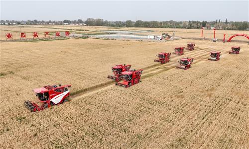 China's grain output tops 700 million tons in 2024, setting a new ...