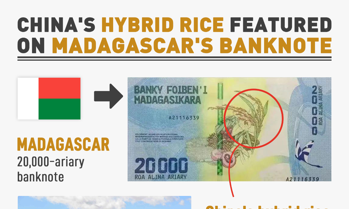 China's hybrid rice featured on Madagascar's banknote - Global Times