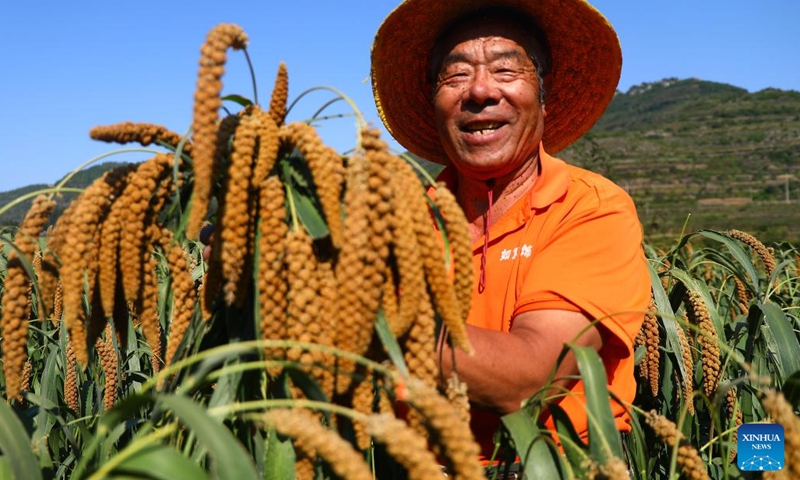 7th Chinese farmers' harvest festival celebrated across China - Global ...