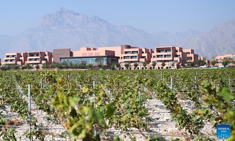 Dulaan Holiday Wine Stroll flourishes at Helan Mountain's foot in ...