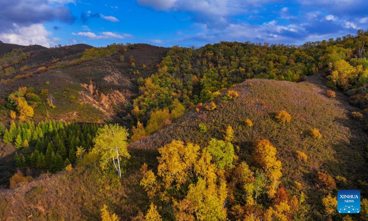 Autumn scenery of China's Inner Mongolia - Global Times