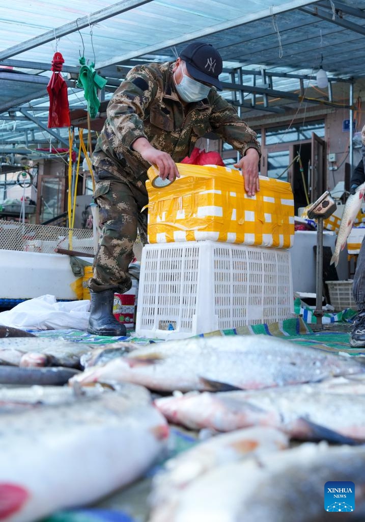 Dongji fish market in Fuyuan City, NE China's Heilongjiang - Global Times
