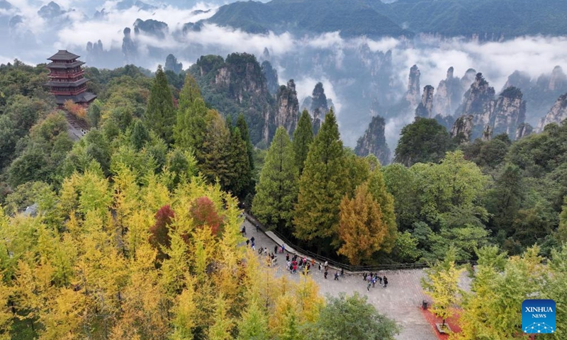 Autumn scenery across China - Global Times