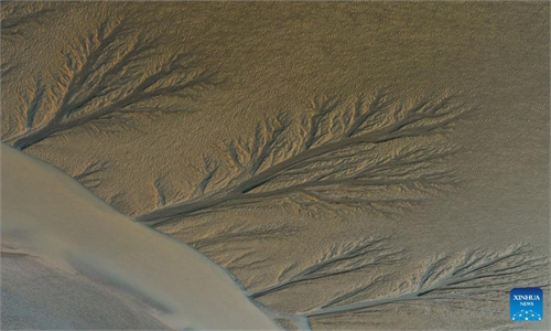 Tree-shaped traces seen on tidal flat in Yancheng City, China's Jiangsu ...