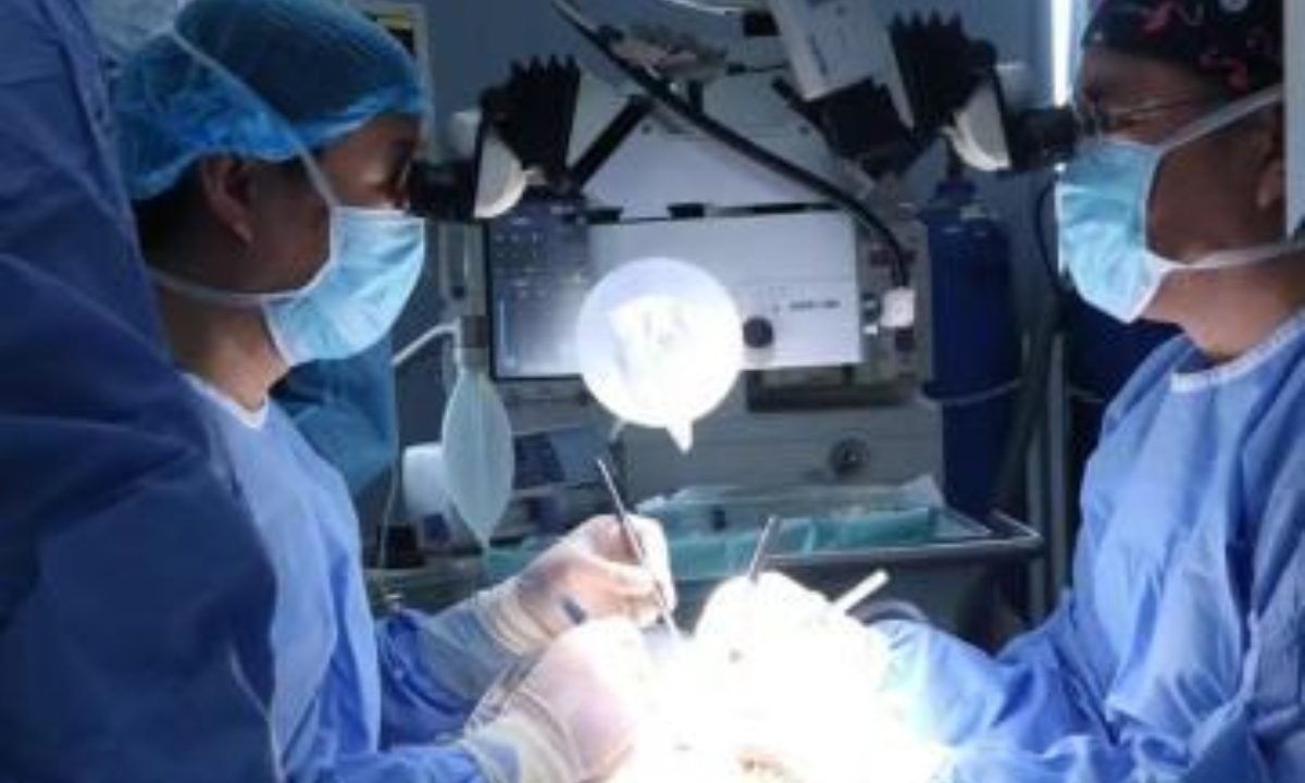China makes breakthrough in xenotransplantation with gene-edited pig ...