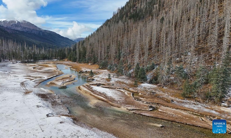 Scenery of Duopugou scenic spot in Sichuan, SW China - Global Times