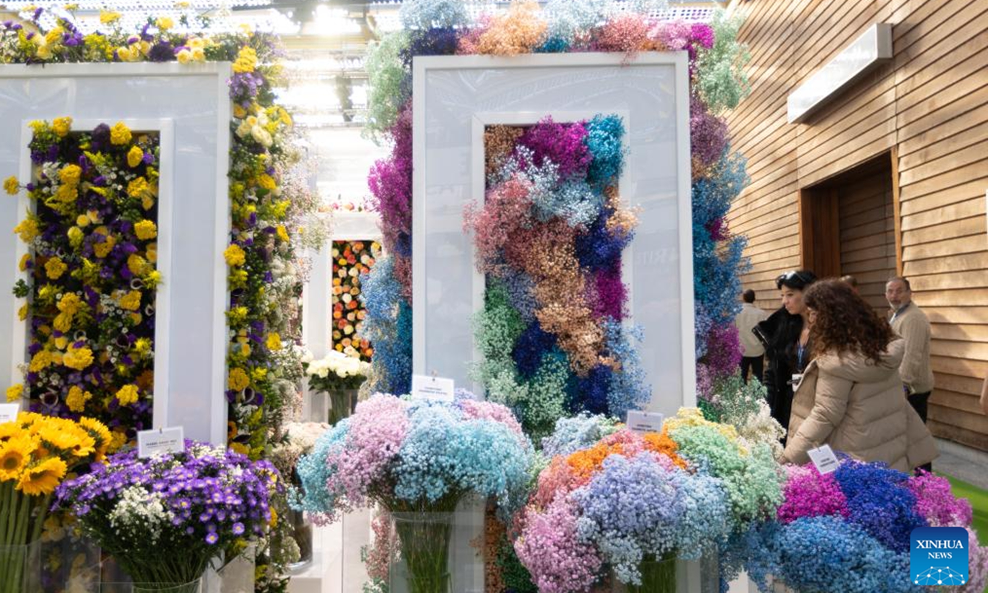 2024 Int'l Floriculture Trade Fair held in Netherlands - Global Times