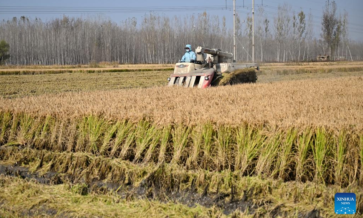 Zhuozhou enhances popularity and market competitiveness of local rice ...