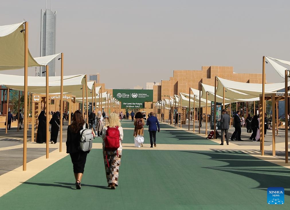 A glimpse of UNCCD COP16 in Riyadh, Saudi Arabia - Global Times