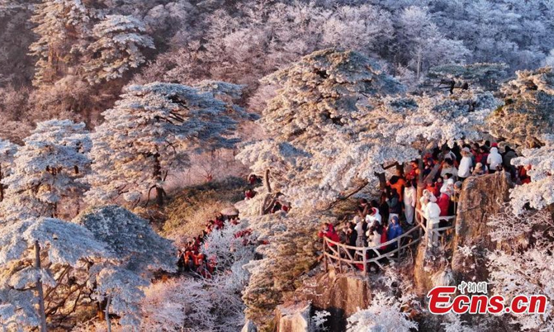 Breathtaking rime-covered Huangshan Mountain in Anhui - Global Times