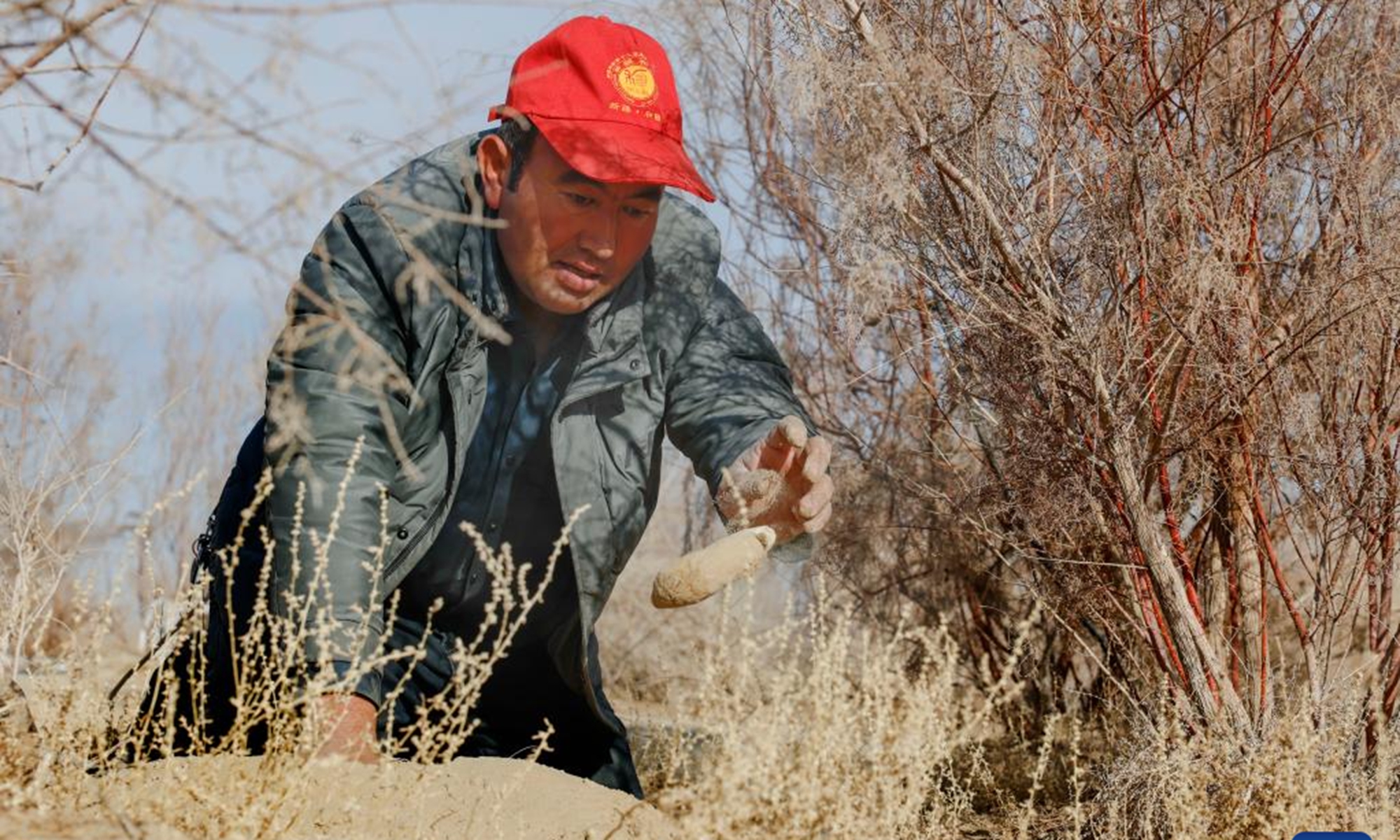Desert control project in Xinjiang improves farmer's life - Global Times