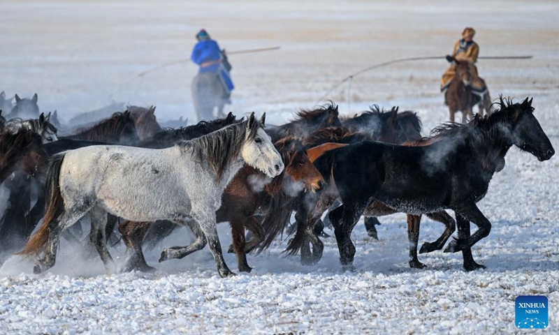 Herdsmen tame horses on snow-covered grassland in N China's Inner ...