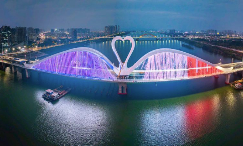 Echeng Bridge put into operation in China's Huizhou - Global Times