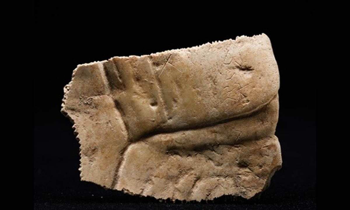 Largest Shang building, inscribed oracle bone discovered in NW China ...