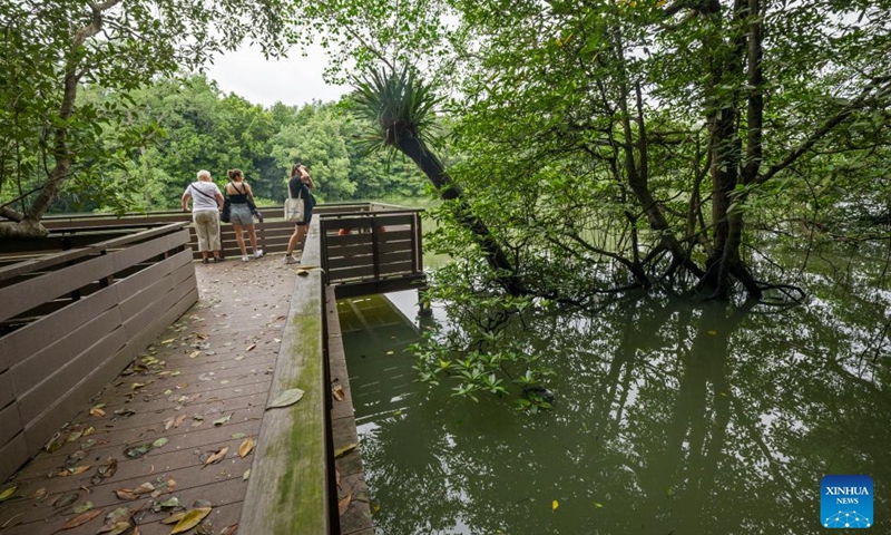 Tourists visit Singapore's Sungei Buloh Wetland Reserve - Global Times