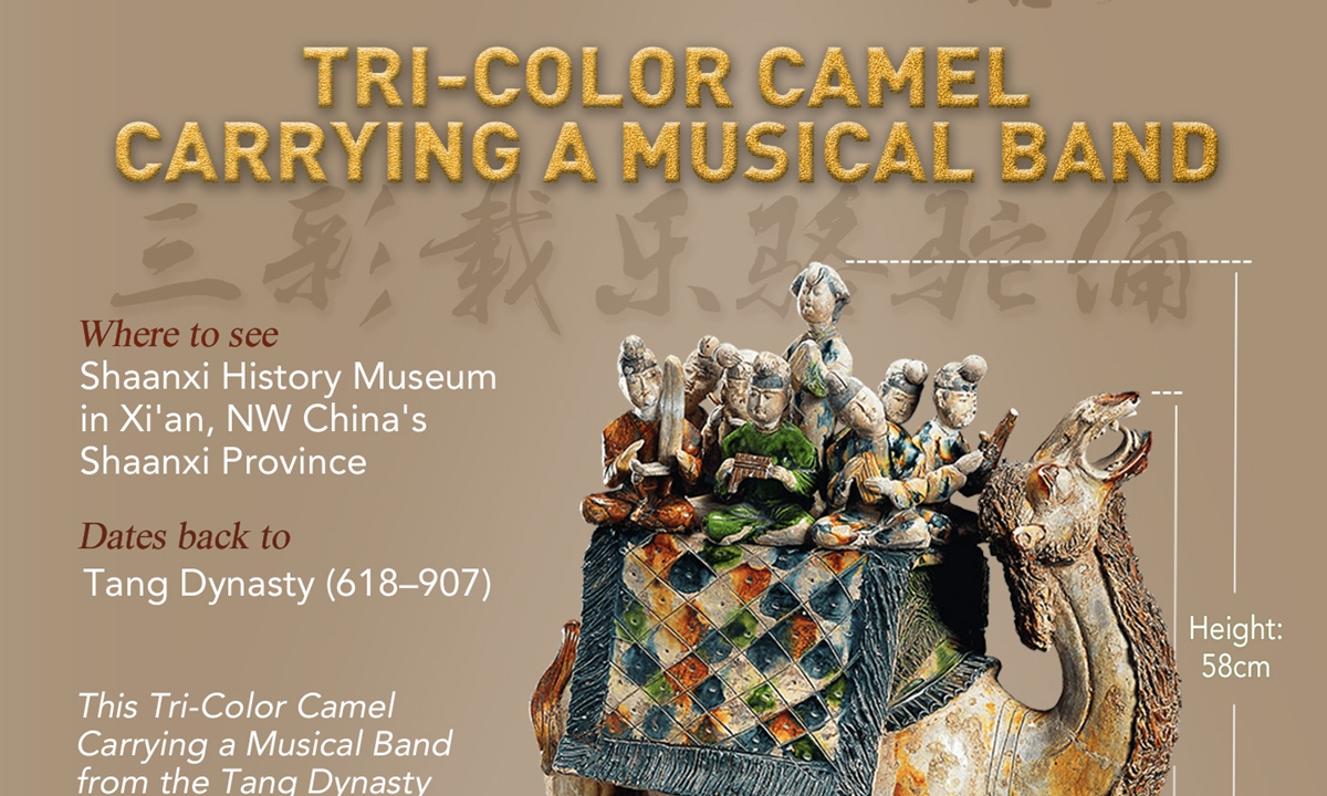 Tri-Color Camel Carrying a Musical Band - Global Times