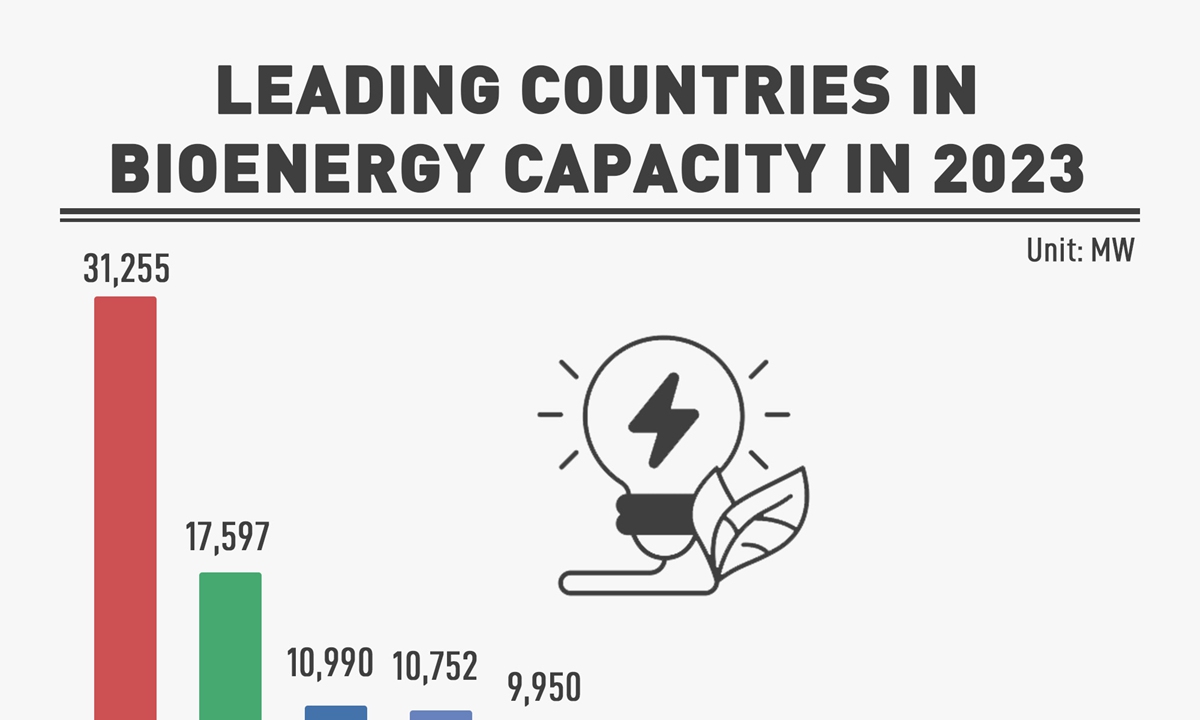 Leading countries in bioenergy capacity in 2023 - Global Times