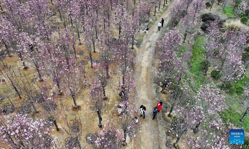 People enjoy spring across China - Global Times