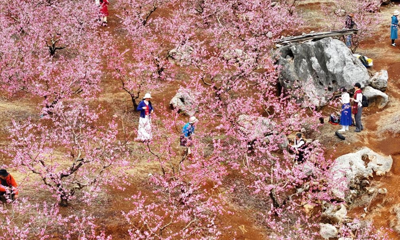 People enjoy spring across China - Global Times