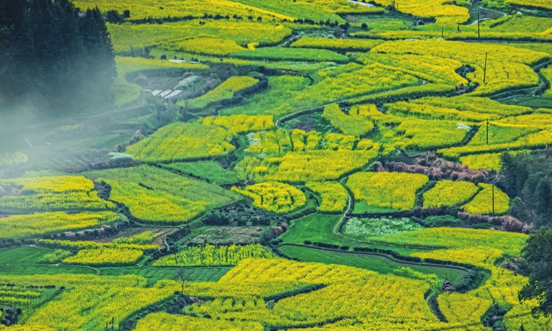 Spring flower viewing guide for international tourists in China ...