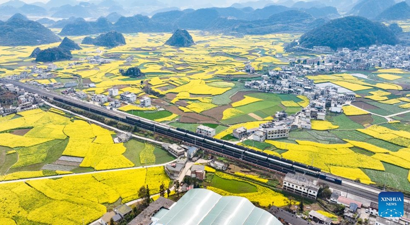 Spring scenery of Puding County, SW China's Guizhou - Global Times