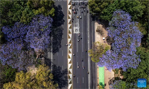 In pics: blooming jacaranda trees along Reforma Avenue in Mexico City ...