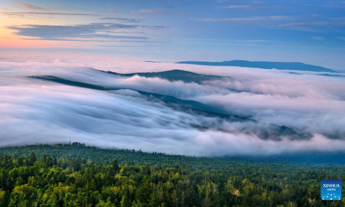 NE China's Yichun enjoys uniquely rich natural endowments - Global Times