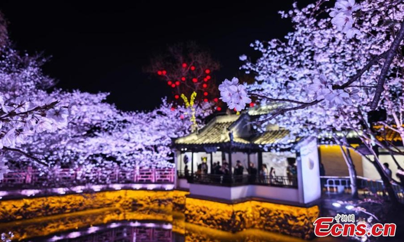 Lights, cherry blossoms turn Wuxi into night wonderland - Global Times