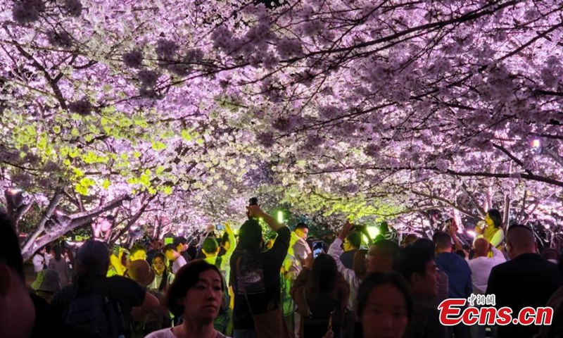 Lights, cherry blossoms turn Wuxi into night wonderland - Global Times