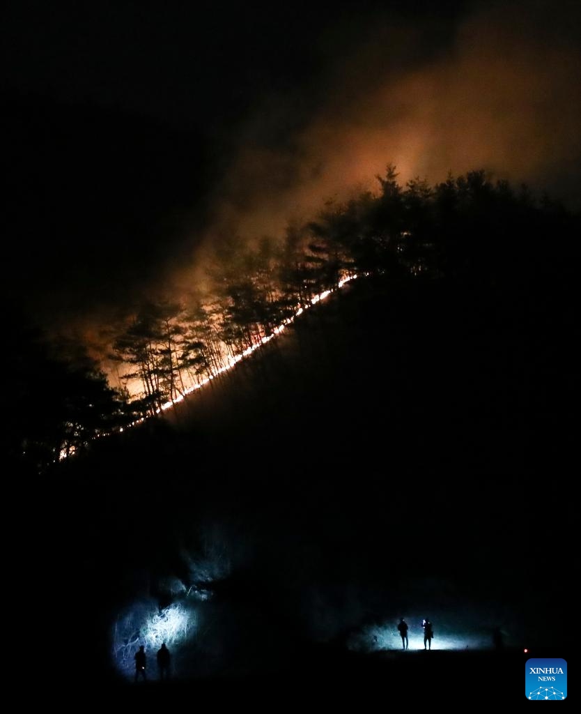 Death toll rises to 26 in S. Korea's worst-ever wildfires - Global Times
