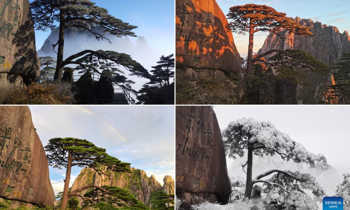 Huangshan Scenic Area highlights ecological protection while attracting visitors - Global Times