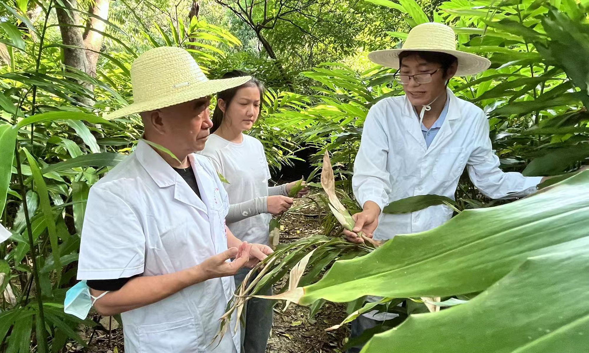 More Chinese ‘silver-haired volunteers’ engage in education, medicare ...