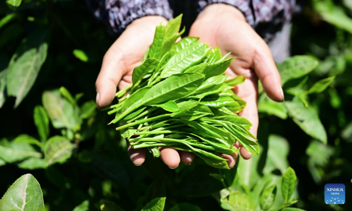 In pics: national intangible cultural heritage -- making technique of ...