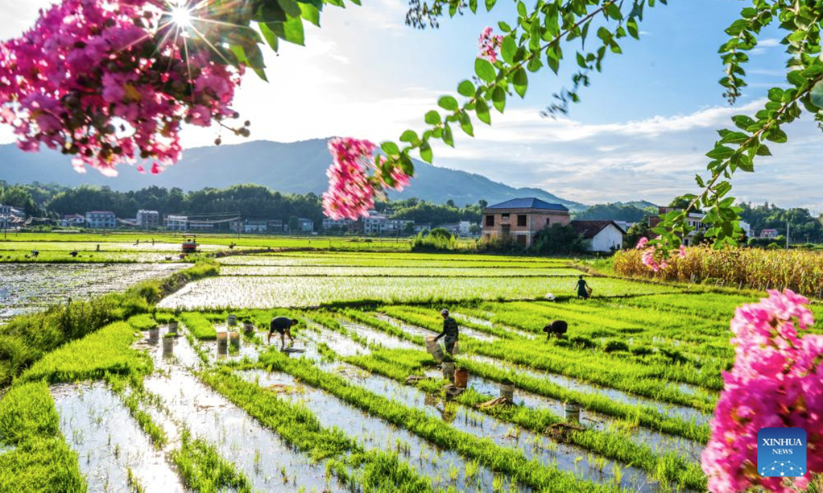 Farmers across China busy with agricultural production in farming ...