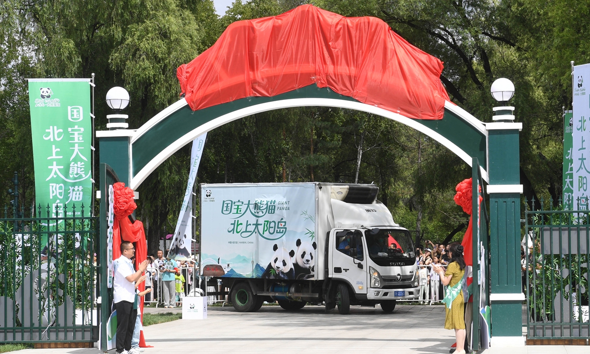 Welcom giant pandas - Global Times