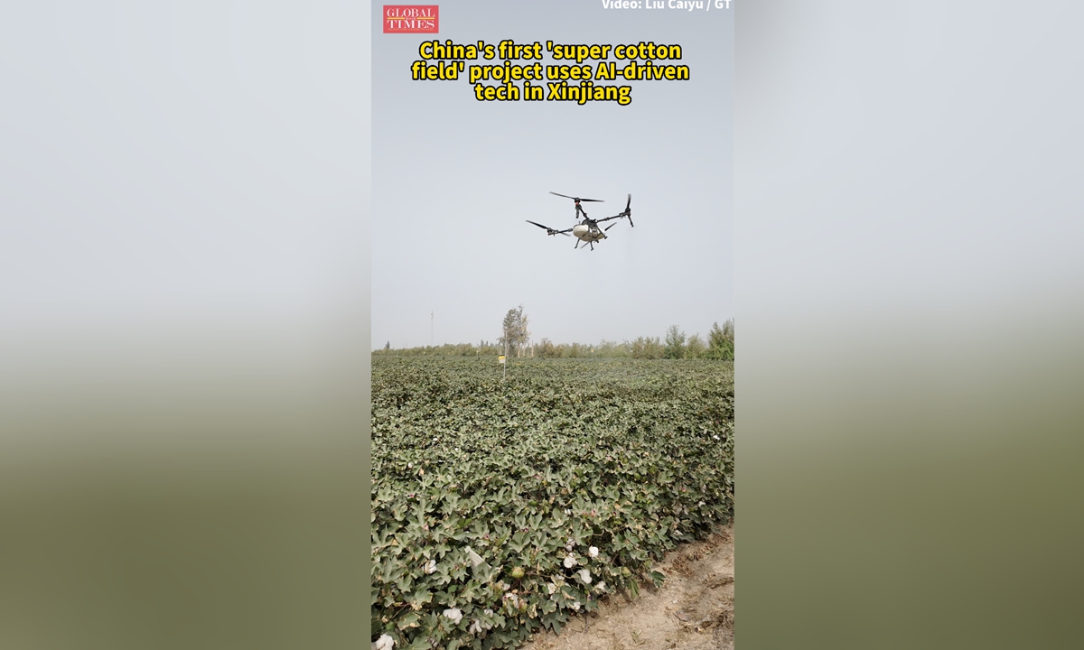 China’s first ‘super cotton field’ project uses AI-driven tech in ...