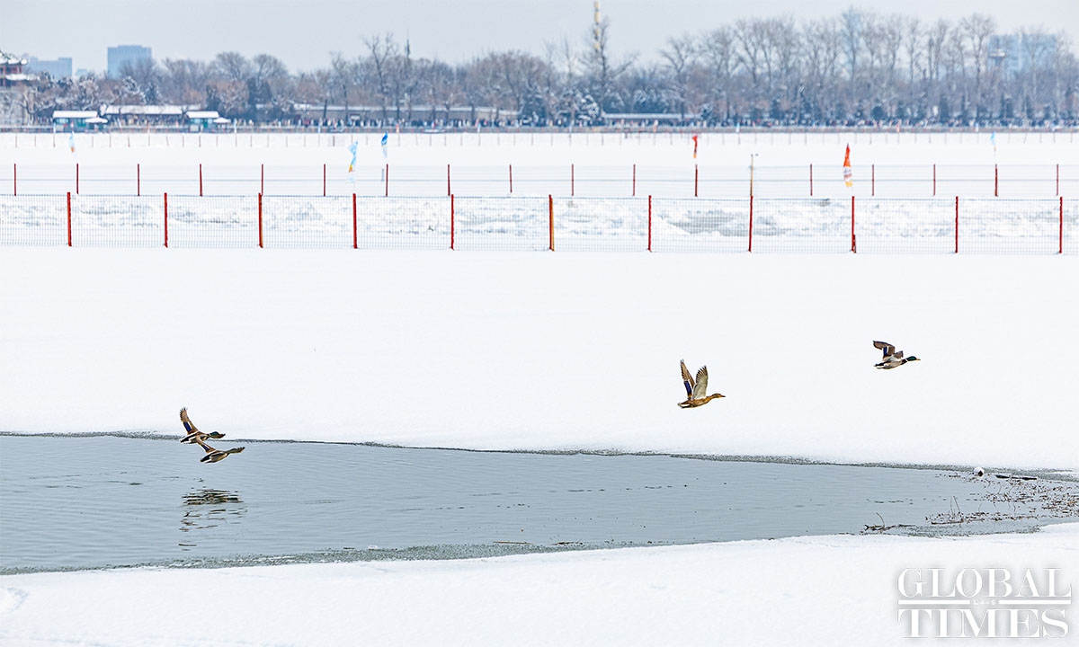 Beijing's first snow of 2026 turns Summer Palace into winter wonderland ...